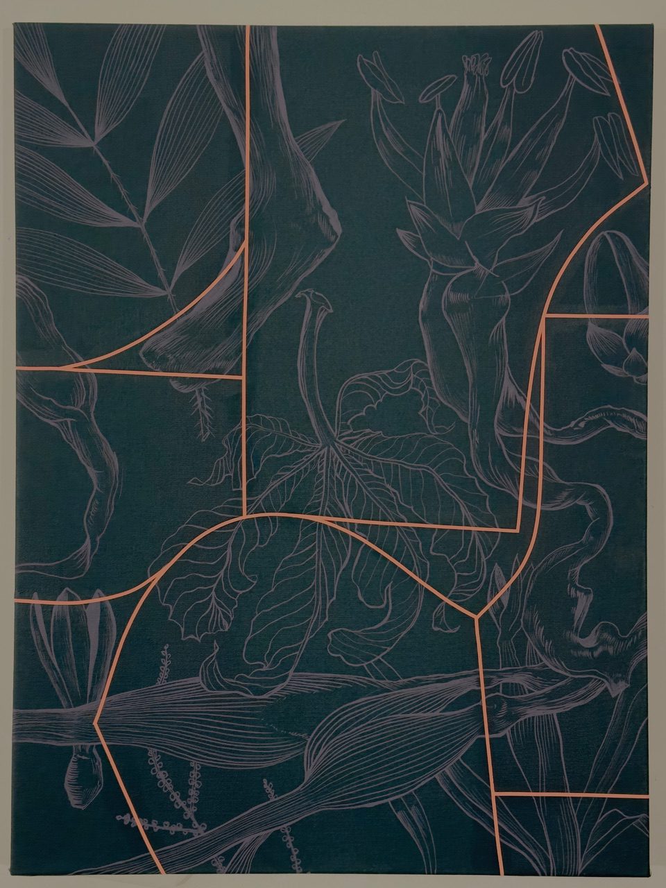 Untitled | PYTHONGALLERY